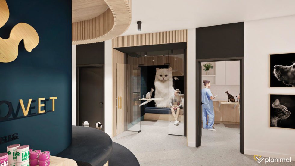 MetroVet Patient Gallery | Vet Clinic In St. Louis, MO 63105